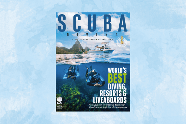 Reader's Choice Awards 2025 de Scuba Diving Magazine | Coral Princess ...